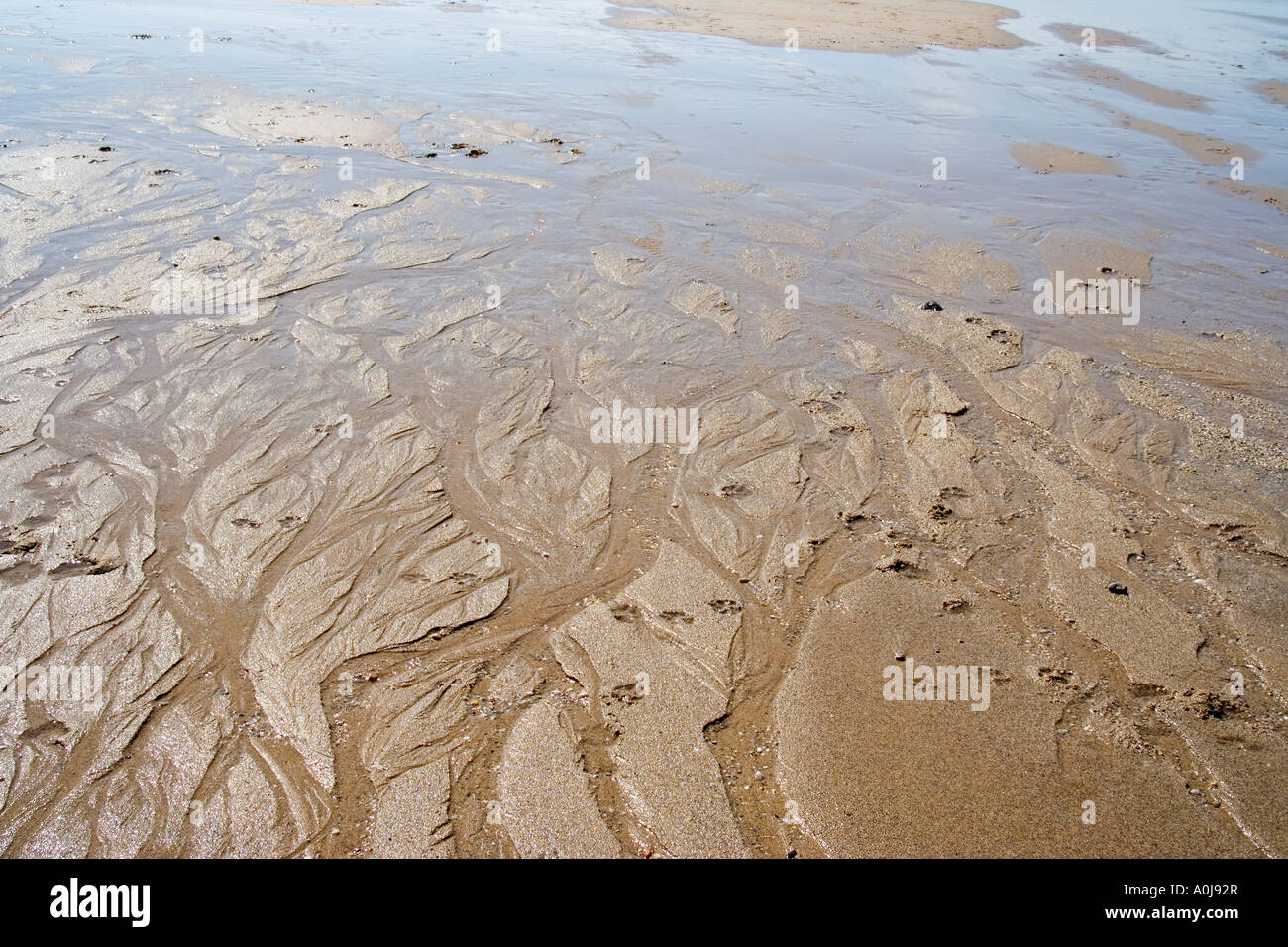 rivulets of water on snady beach Stock Photo - Alamy