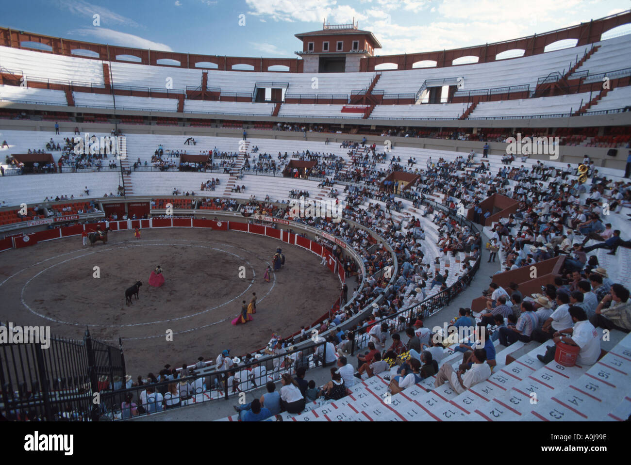 Mexico Aguascalientes Plaza de Toros Monumental features young Stock ...