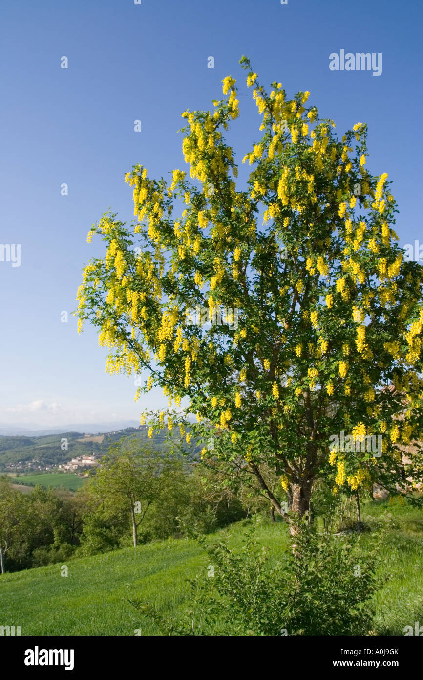 Monterchi tuscany hi-res stock photography and images - Alamy