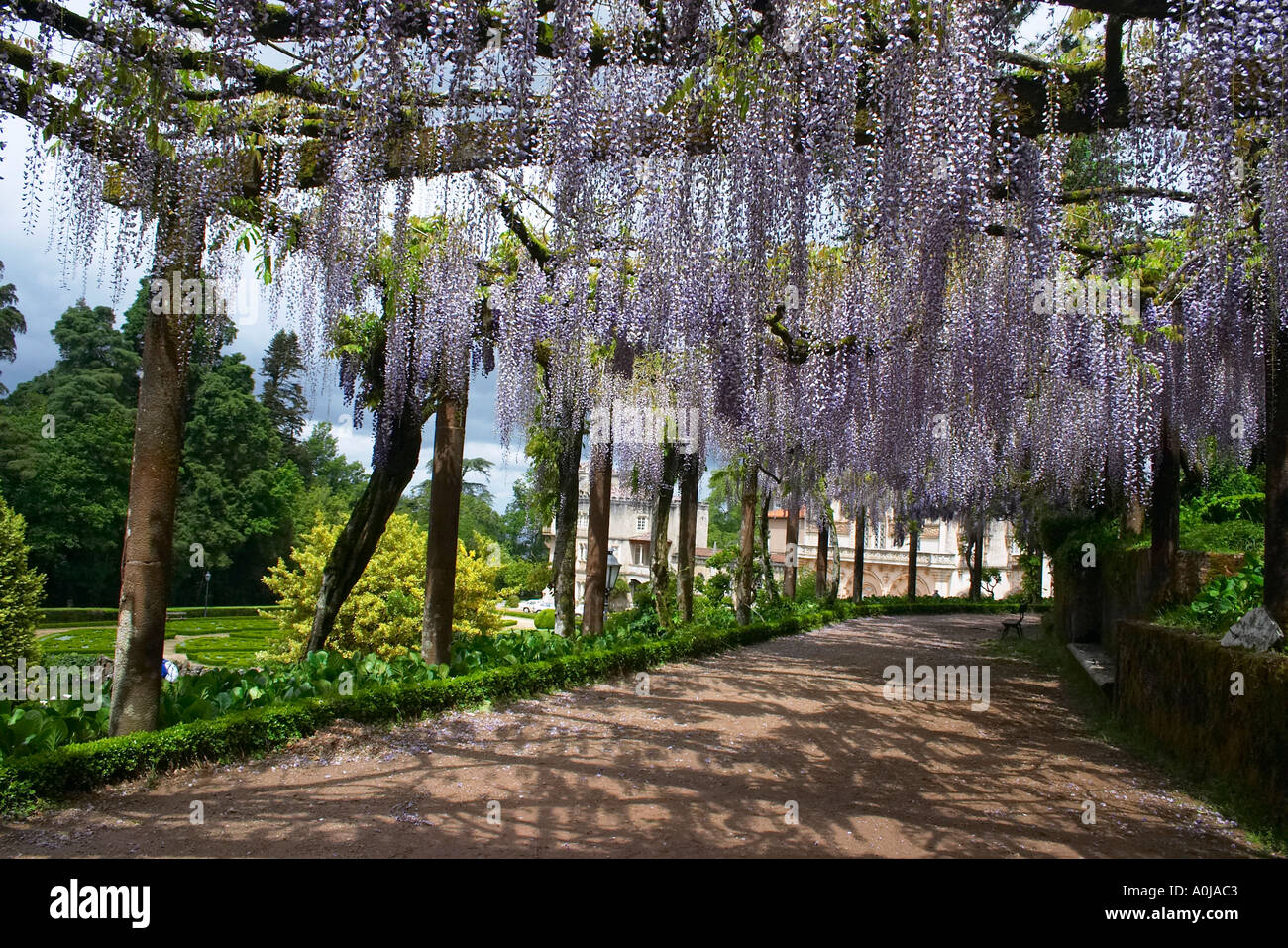garden in Buçaco National Park Stock Photo - Alamy
