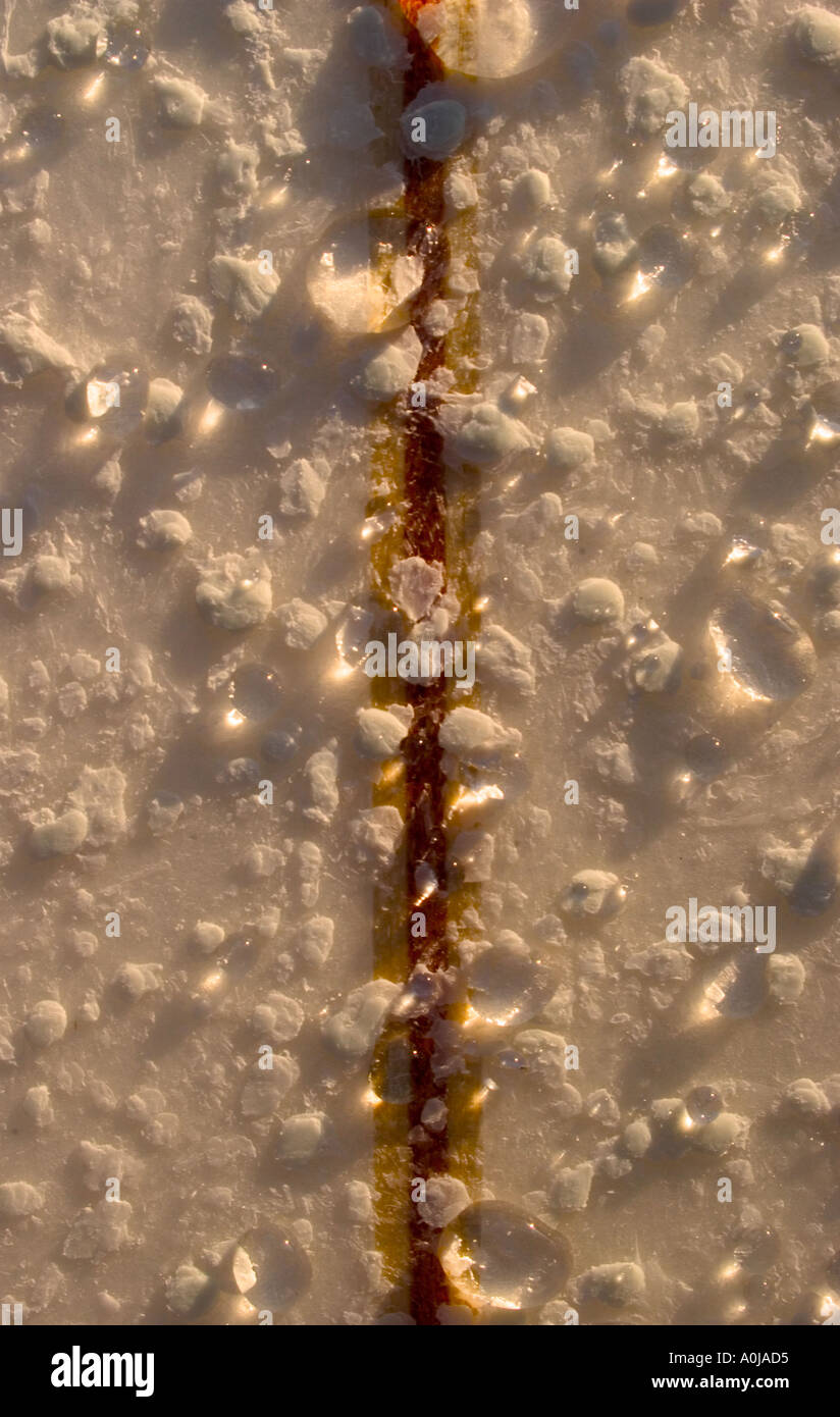 A close-up photograph of wax on a surfboard deck reveals intricate ...