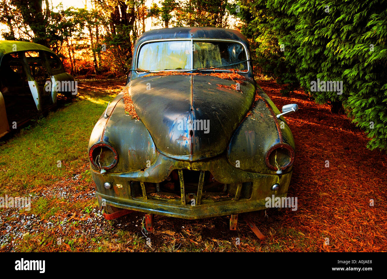 Car refurbishment hi-res stock photography and images - Alamy
