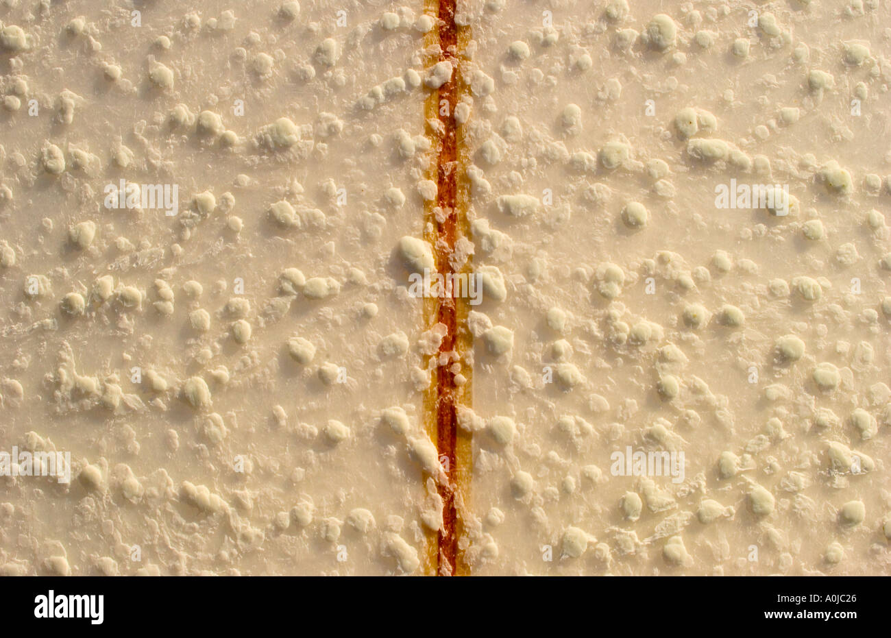 A close-up photograph of wax on a surfboard deck reveals intricate ...