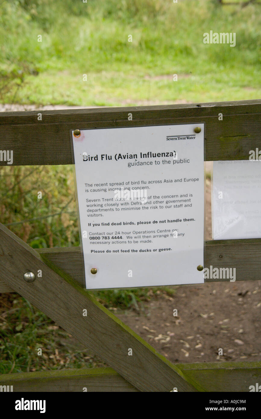 sign warning of bird flu Stock Photo - Alamy