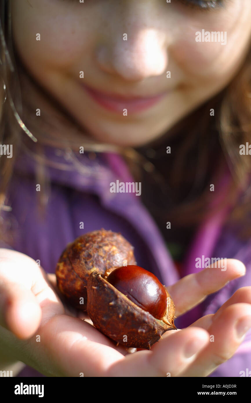 Young girl child holding and looking at a conker inside its shell from ...