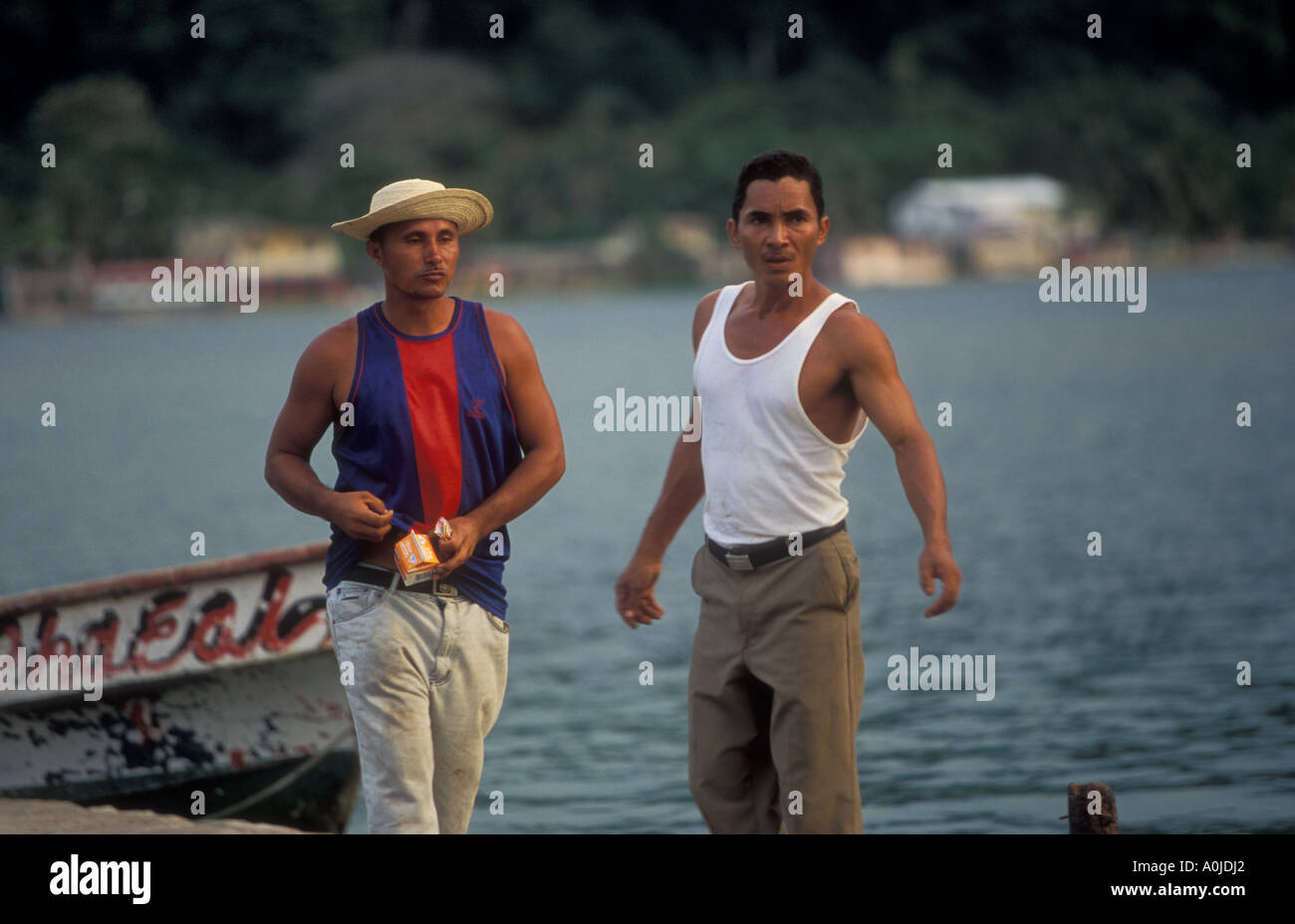 Young hispanic male in hi-res stock photography and images - Alamy