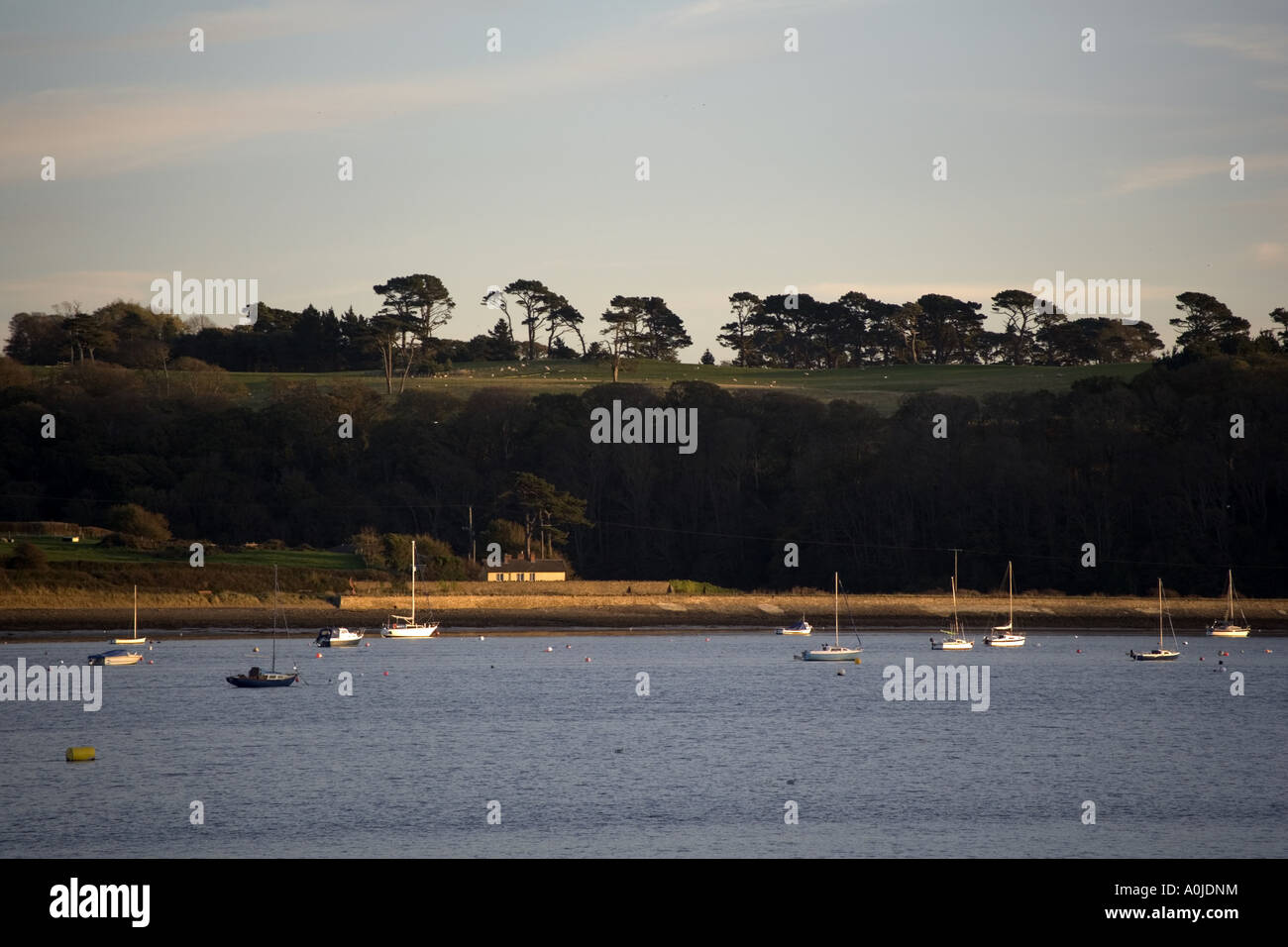 appledore devon estuary of the river torridge Stock Photo - Alamy