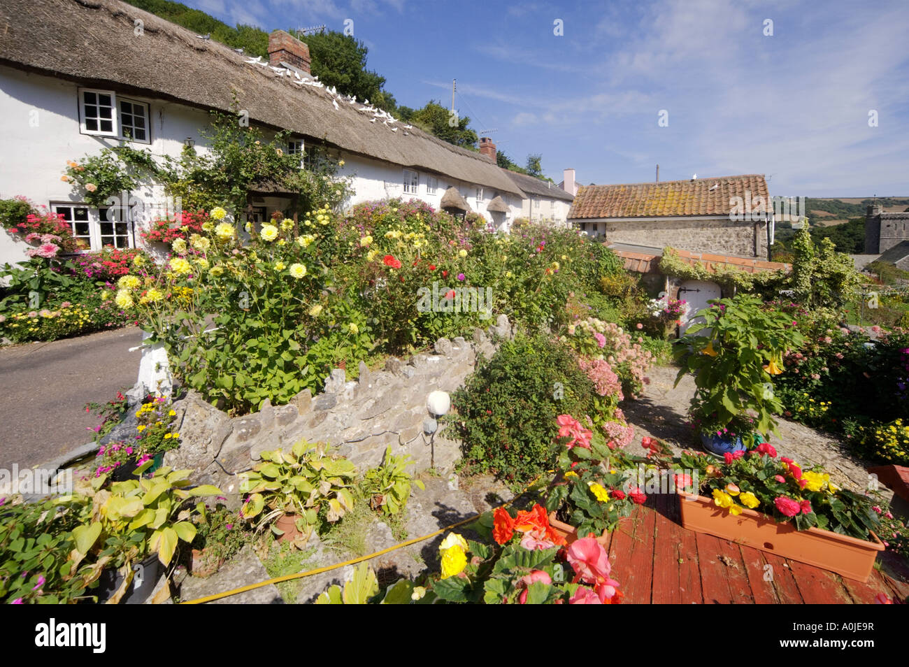 england devon jurassic coast branscombe village Stock Photo - Alamy