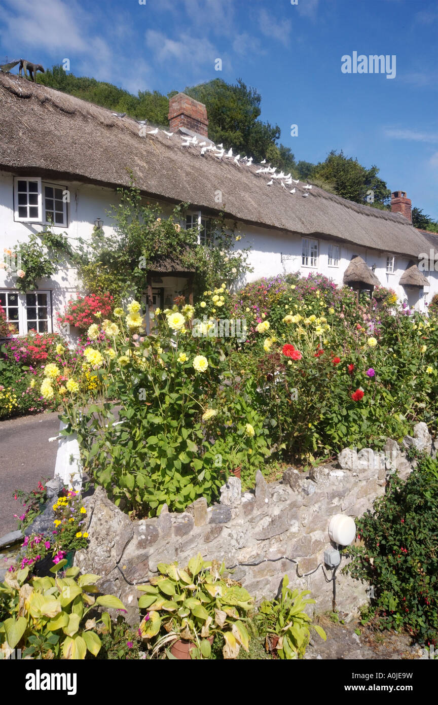 england devon jurassic coast branscombe village Stock Photo - Alamy
