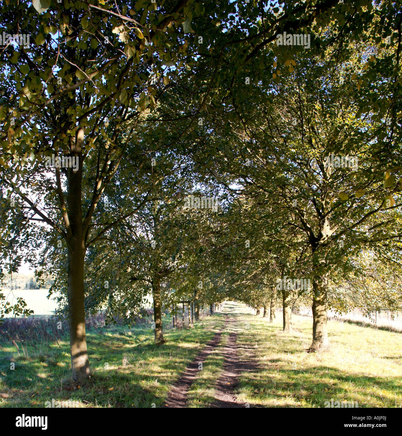 footpath through the baddesley clinton country estate warwickshire the ...