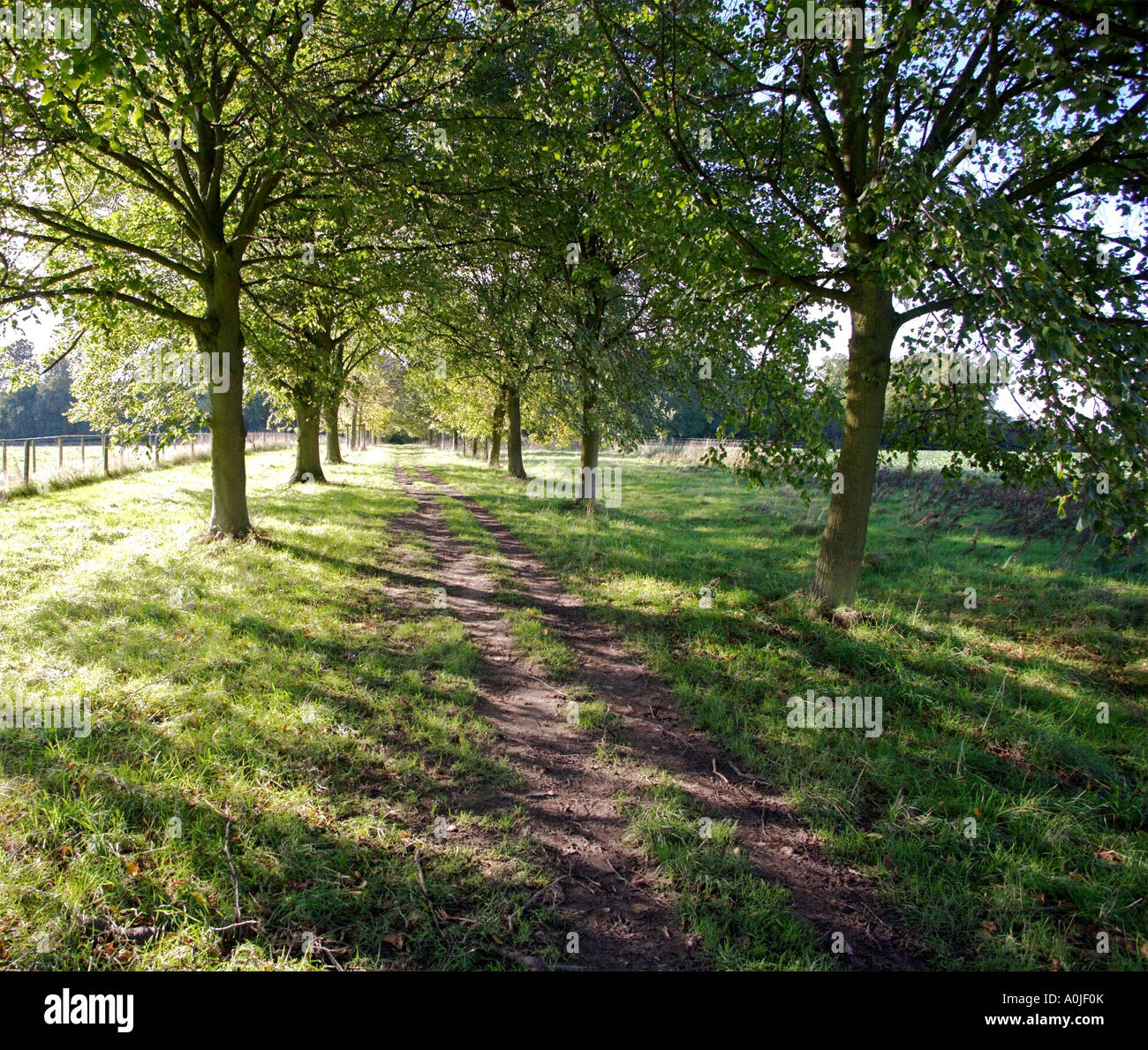footpath through the baddesley clinton country estate warwickshire the ...