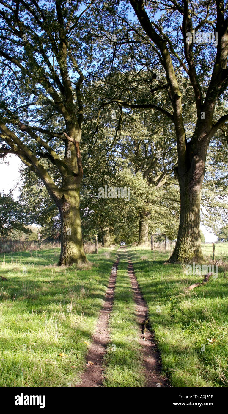footpath through the baddesley clinton country estate warwickshire the ...