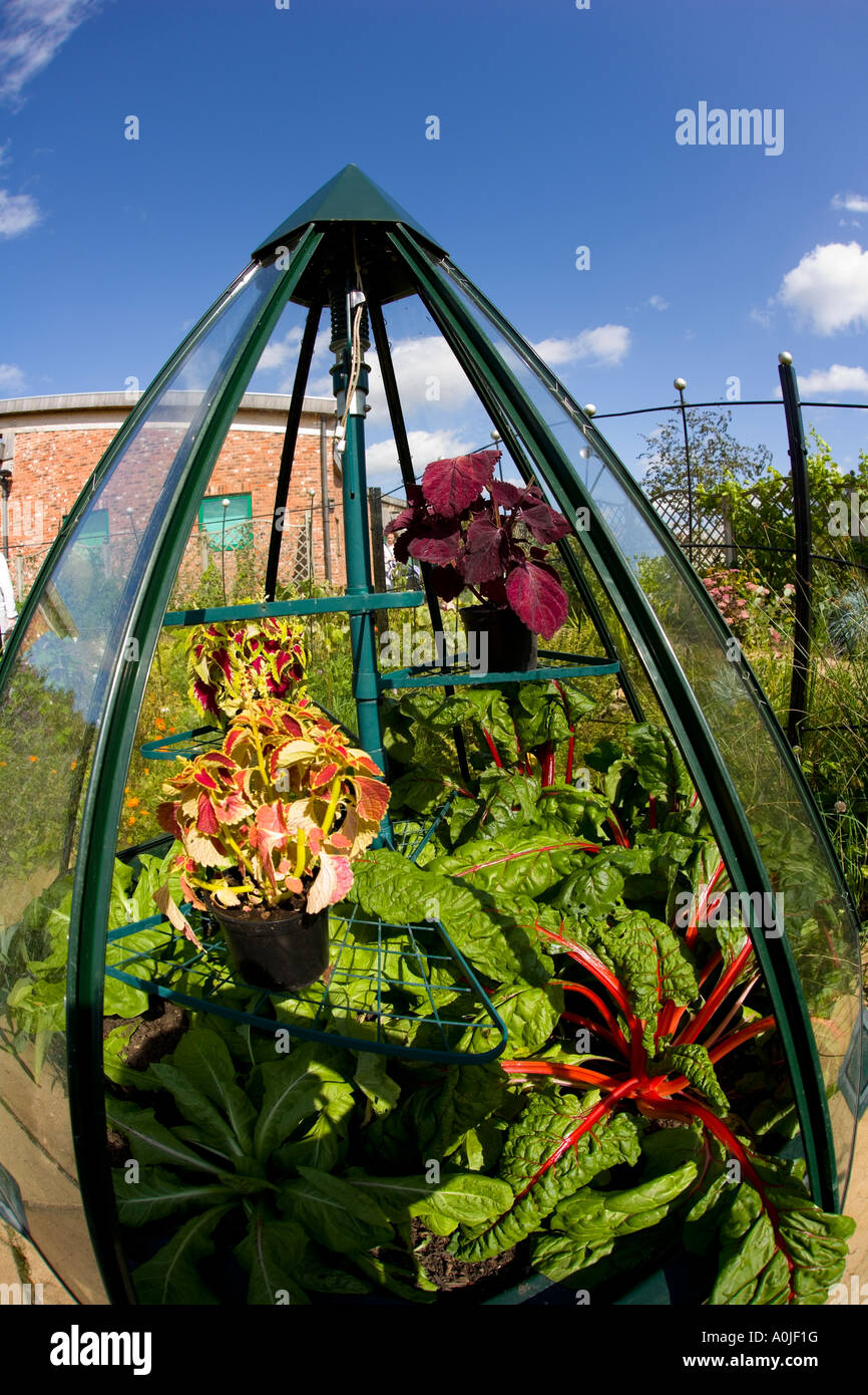 garden organic ryton ryton gardens warwickshire midlands england Stock ...