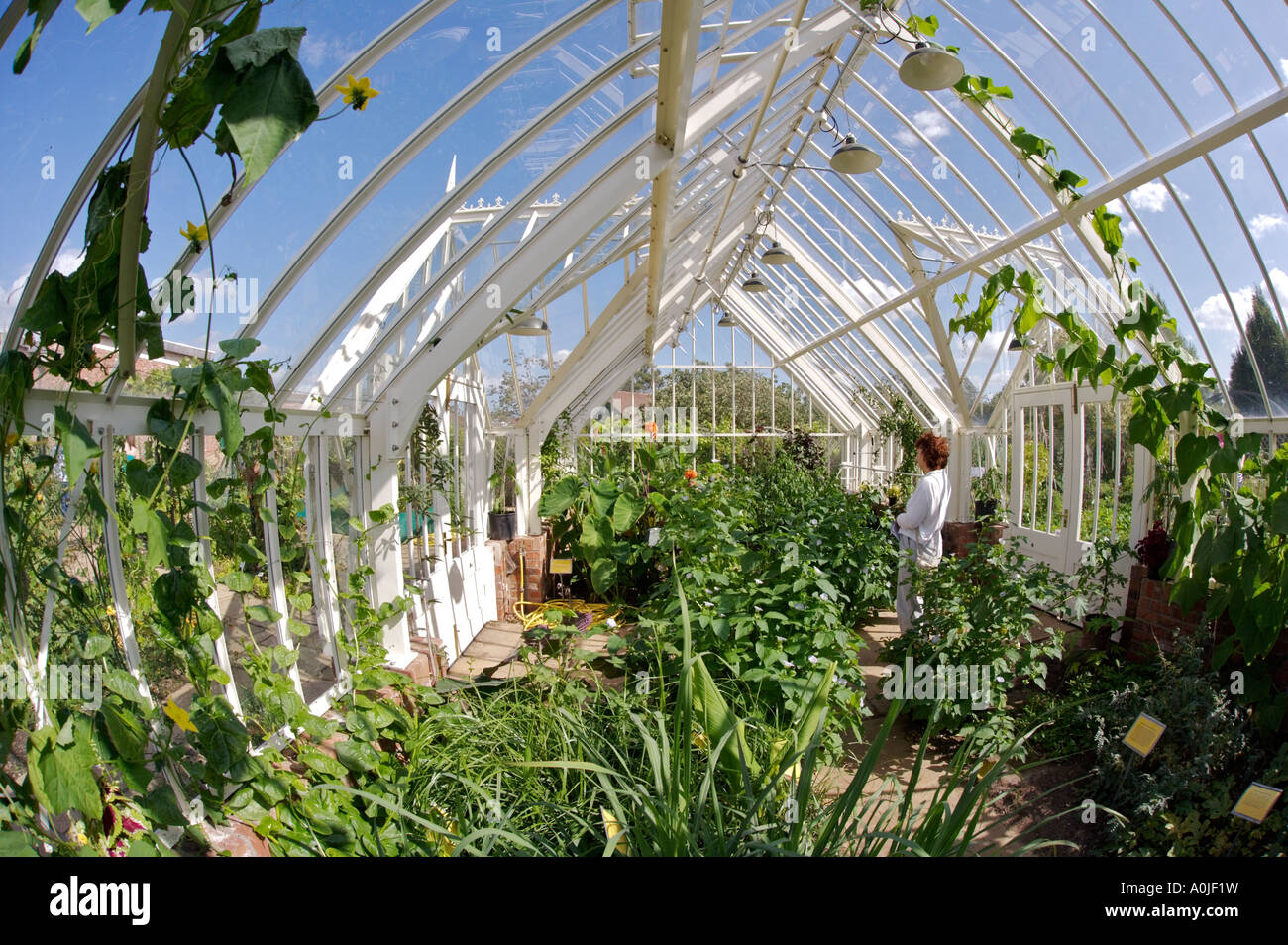 garden organic ryton ryton gardens warwickshire midlands england Stock ...