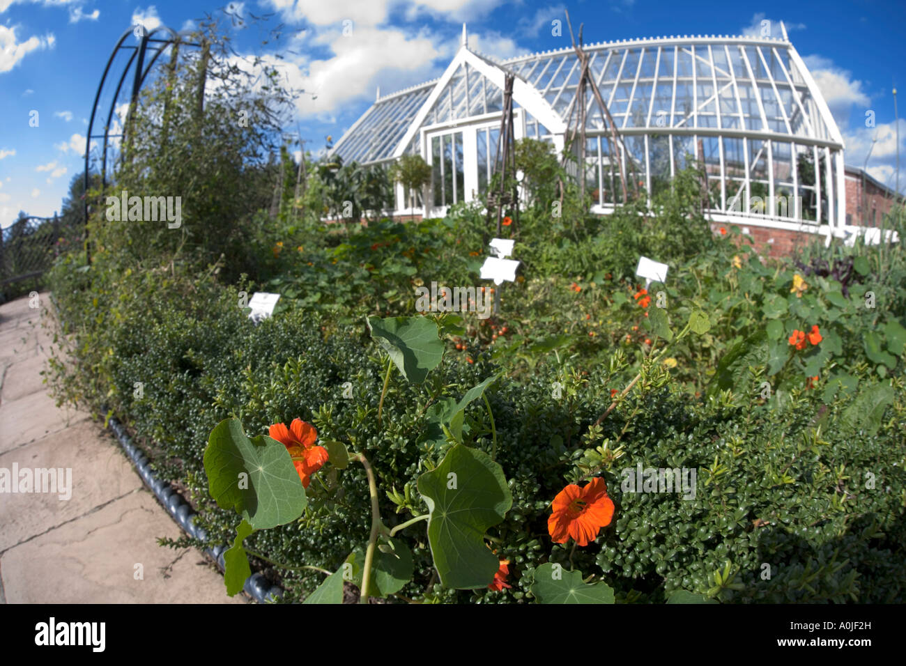 garden organic ryton ryton gardens warwickshire midlands england Stock ...