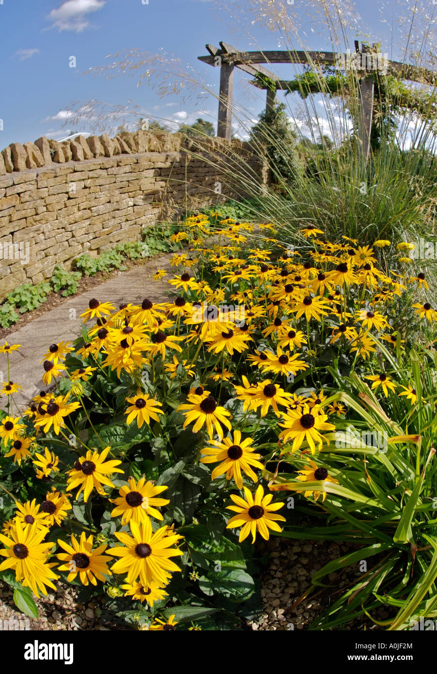 garden organic ryton ryton gardens warwickshire midlands england Stock ...