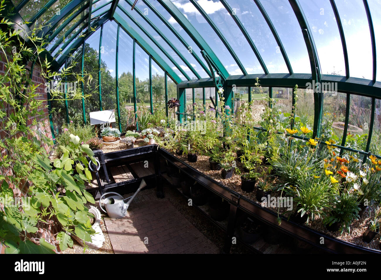 garden organic ryton ryton gardens warwickshire midlands england Stock ...