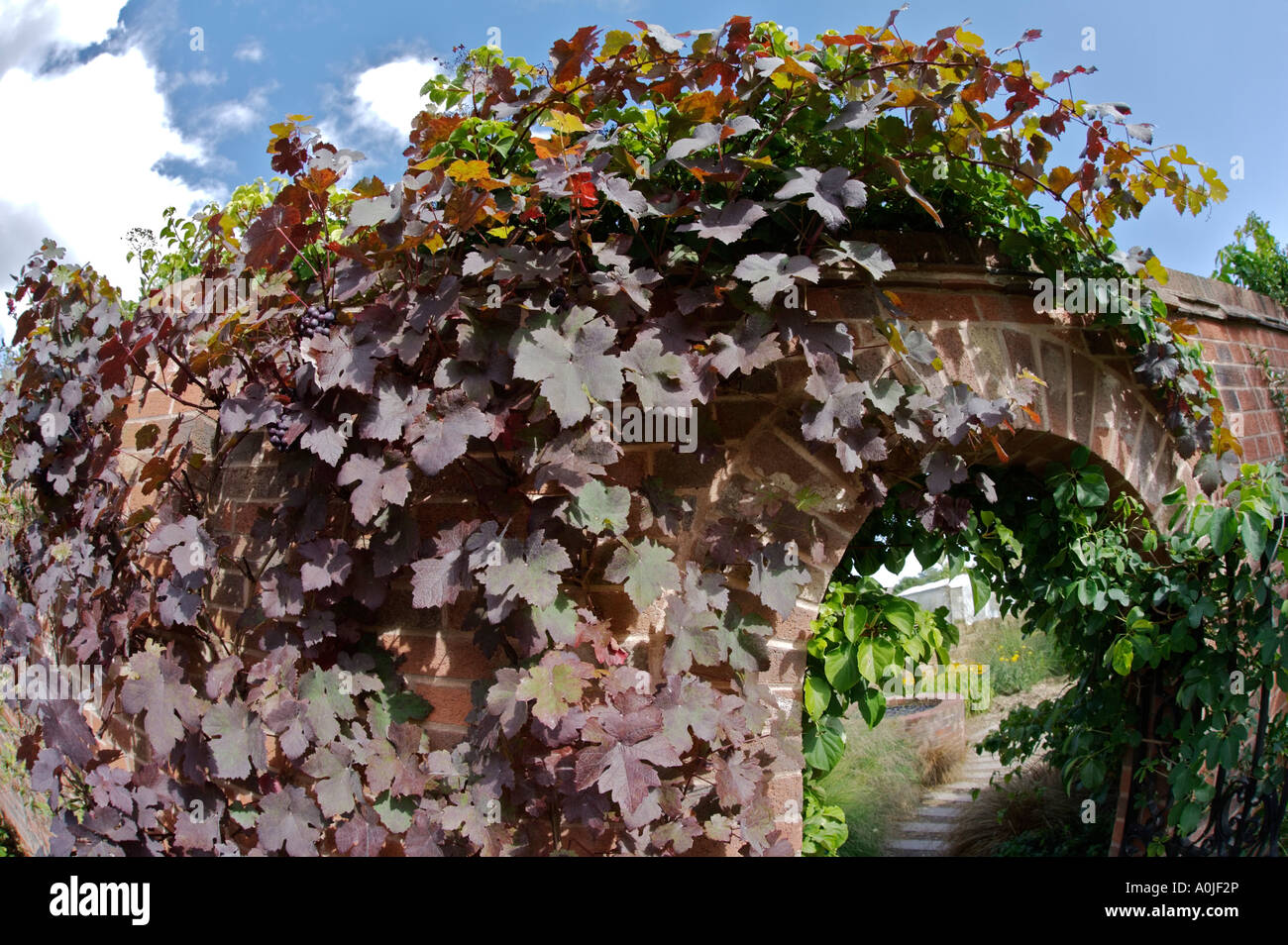 garden organic ryton ryton gardens warwickshire midlands england Stock ...