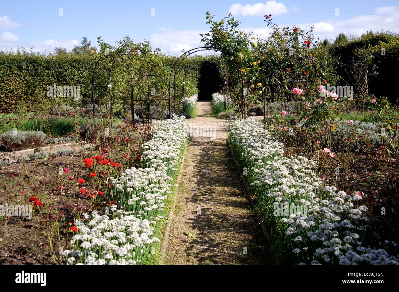 Ryton gardens hi-res stock photography and images - Alamy