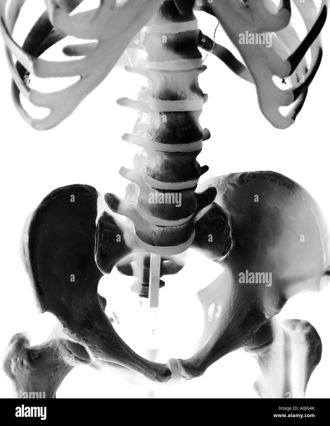 Ghost lab Black and White Stock Photos & Images - Alamy