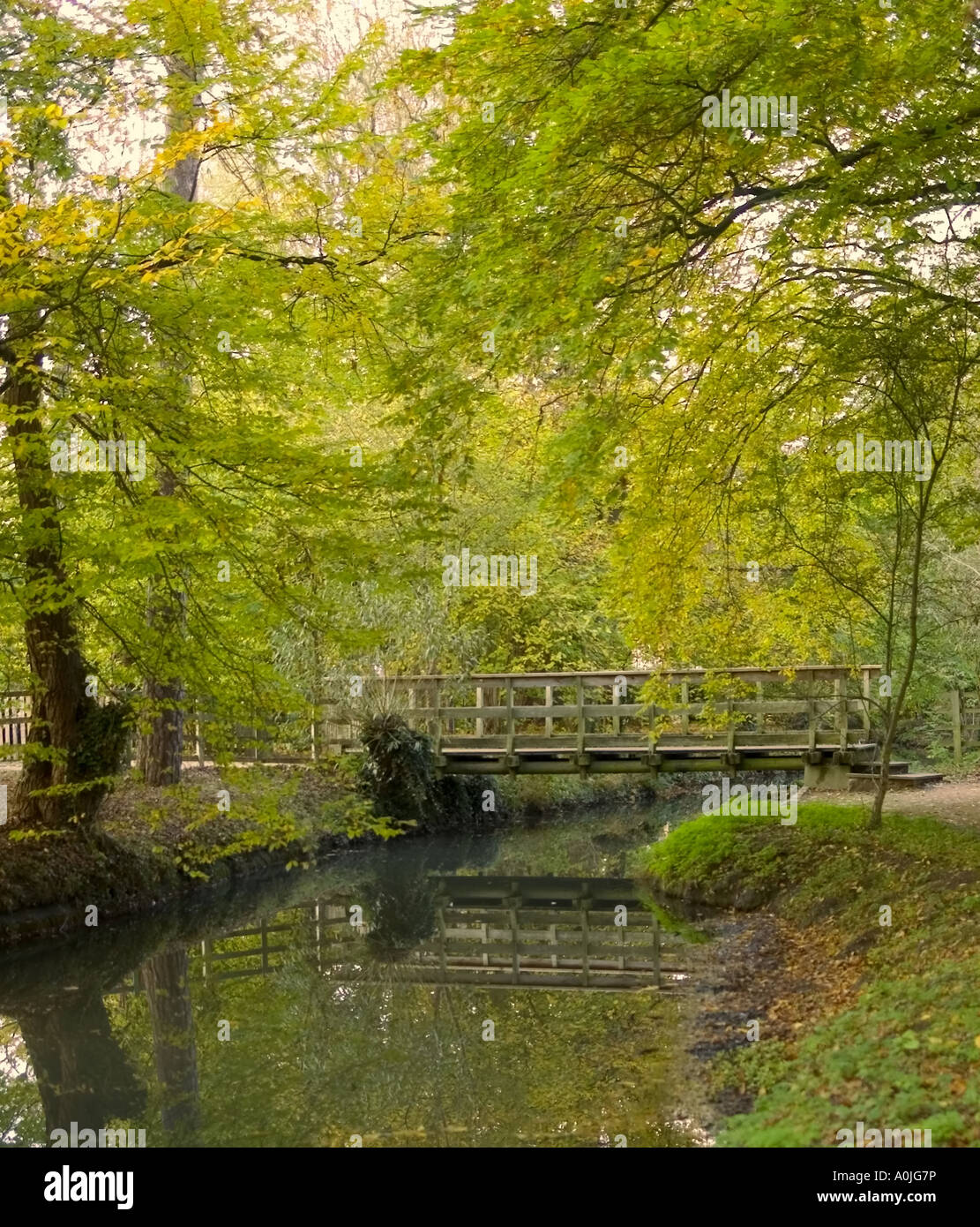 stream brook trees woodland country countryside Stock Photo - Alamy