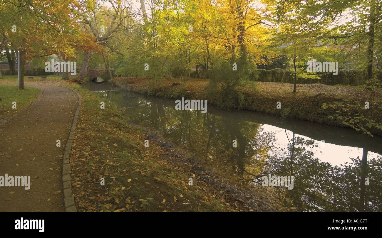stream brook trees woodland country countryside Stock Photo - Alamy