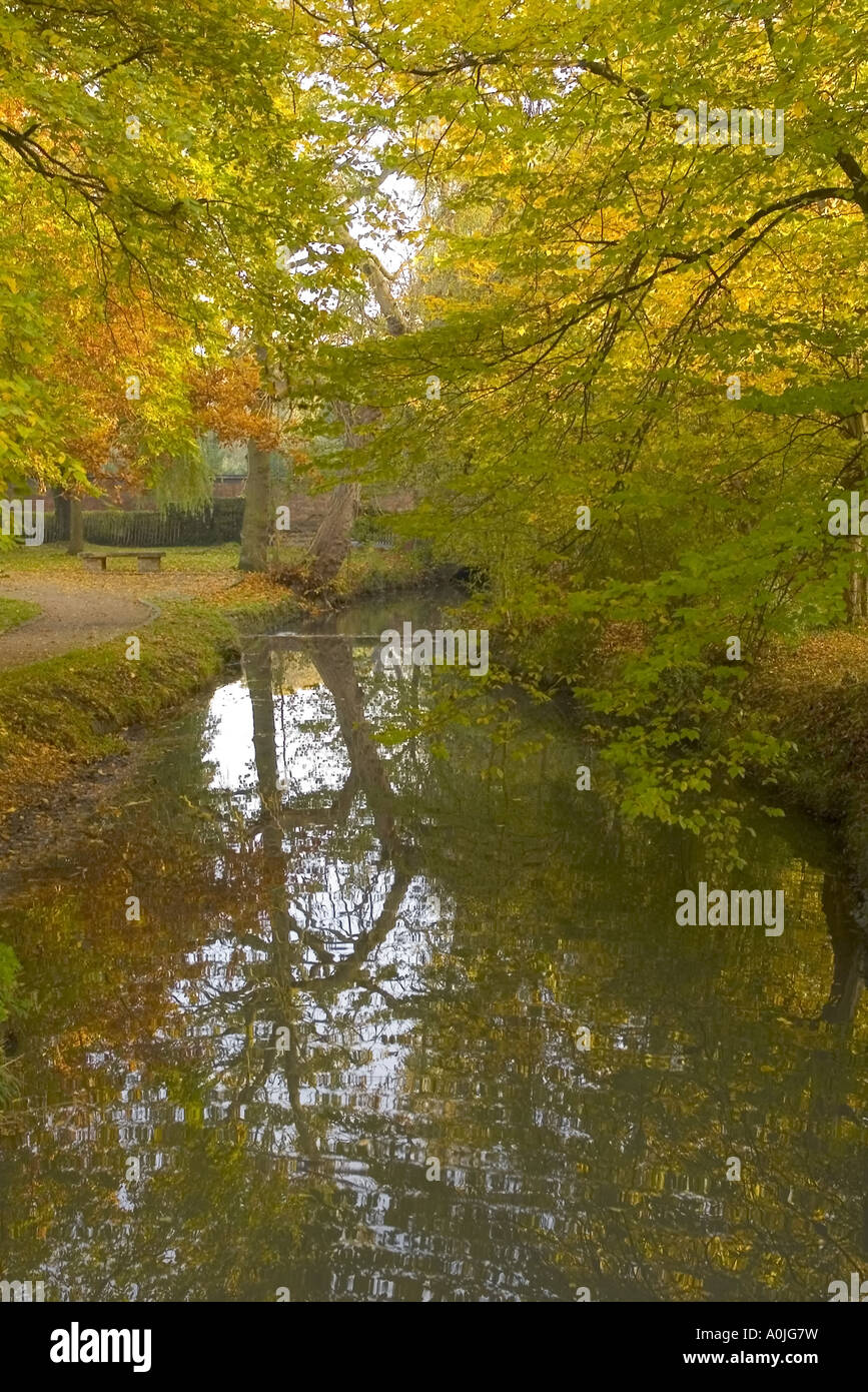 stream brook trees woodland country countryside Stock Photo - Alamy