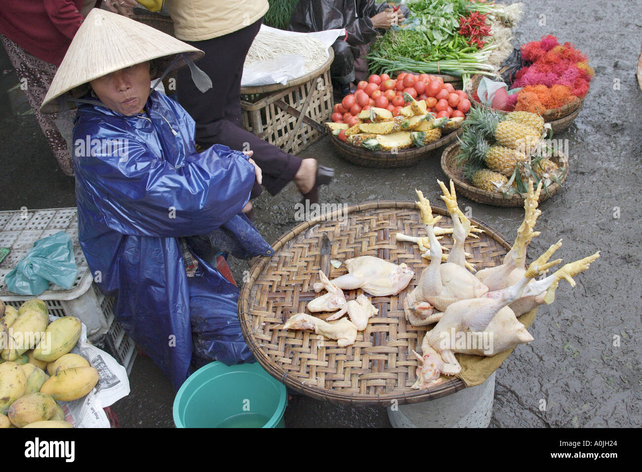 A poultry seller at the main market in Hue Vietnam, a country which has ...