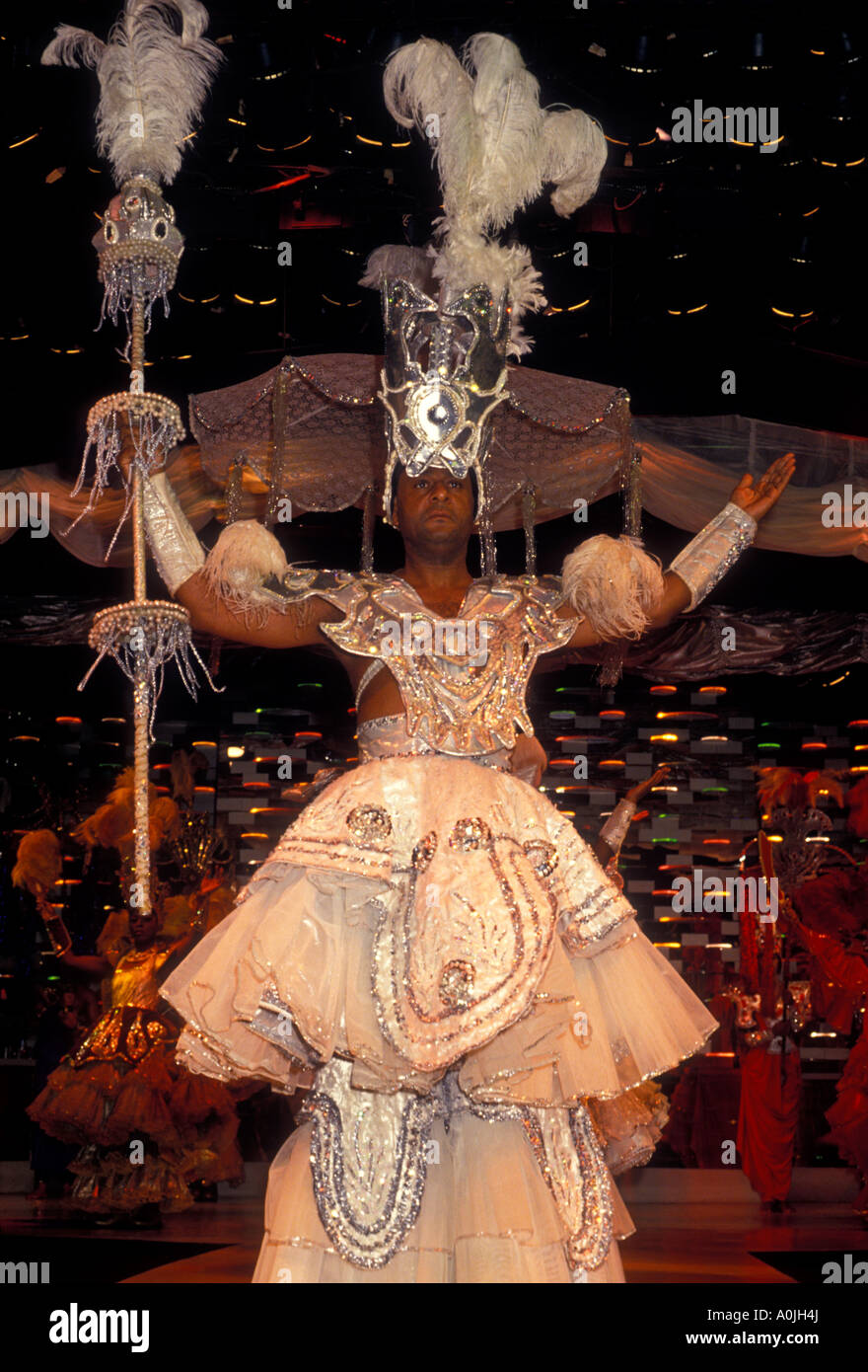 Candomble, Brazilian man, Brazilian, dancer, carnival costume ...