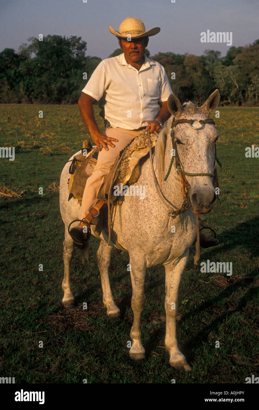 1, one, Brazilian man, cowboy on horse, cowboy, Caiman Ecological ...