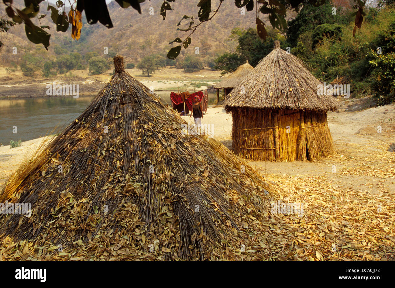 Zimbabwe, Africa ,Straw Roof Huts at Fishing Village on the Zambezi ...