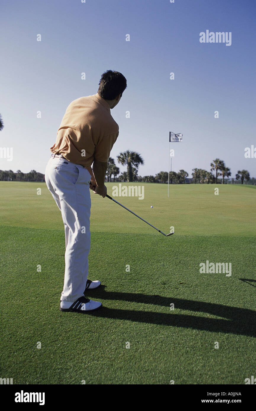 Rear view of a man playing golf Stock Photo - Alamy