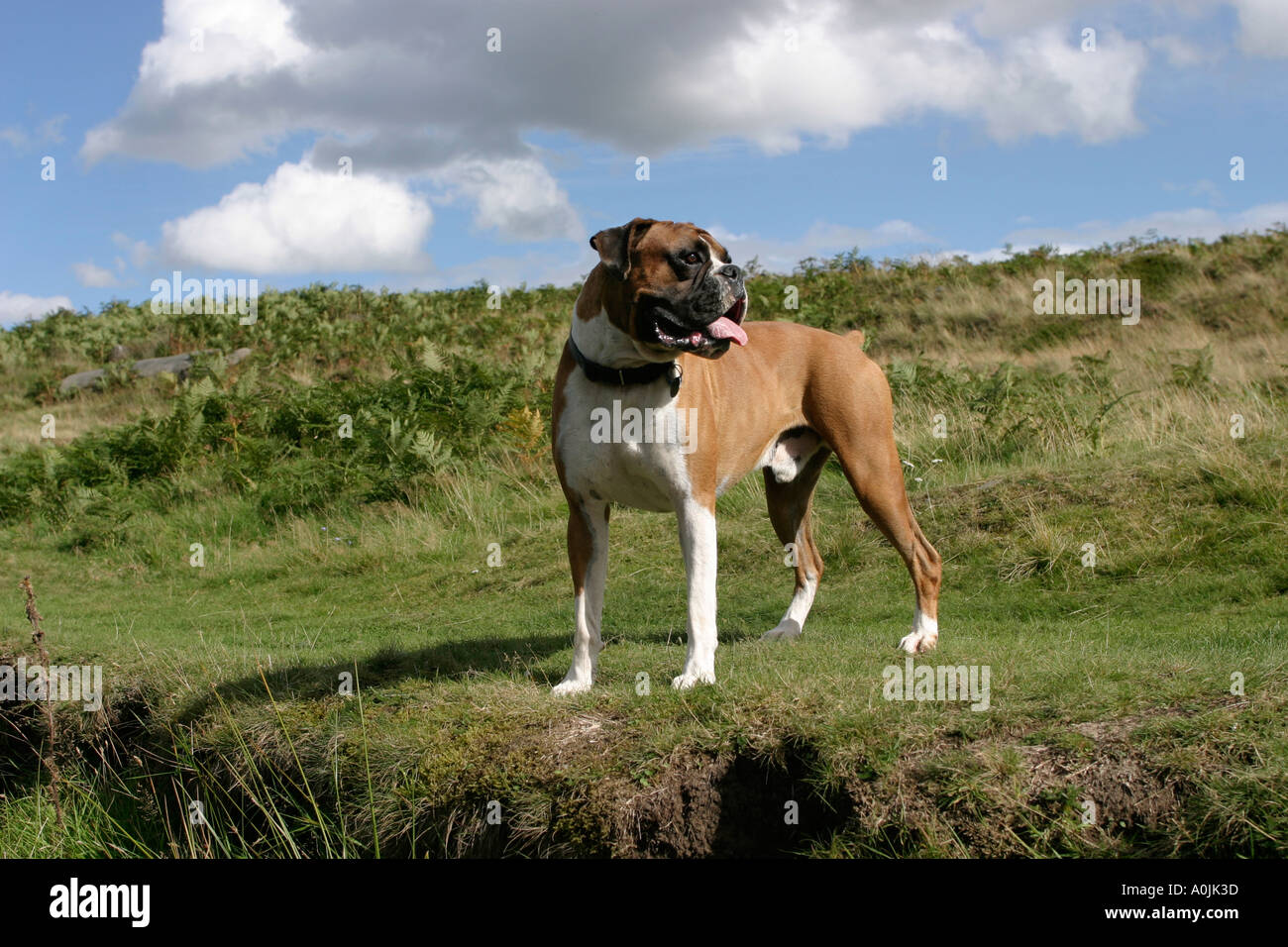 Mompesson adult hi-res stock photography and images - Alamy