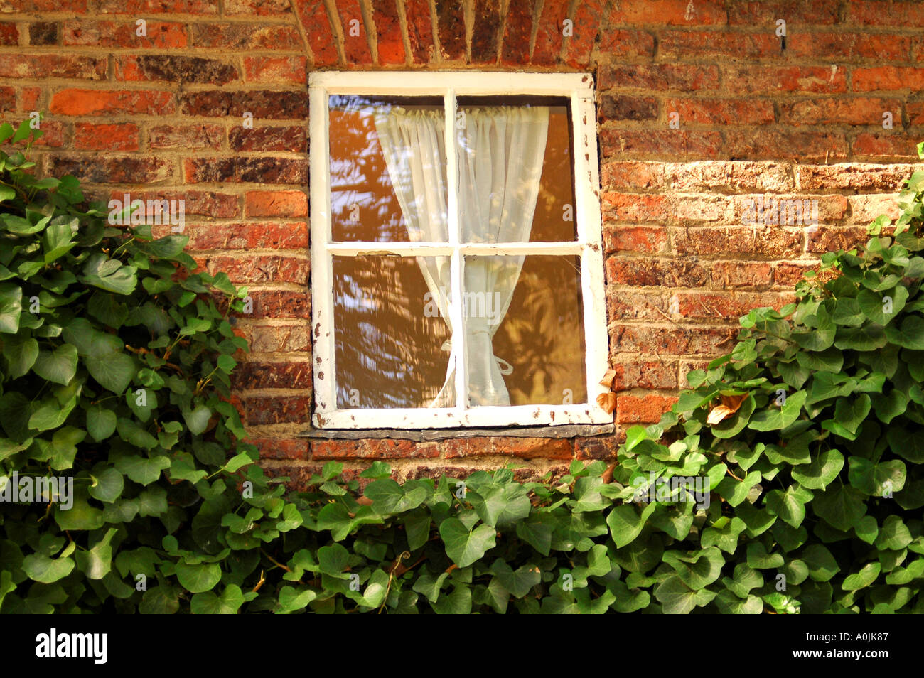 A white framed window on the side of Captain Cook's Cottage, Fitzroy ...