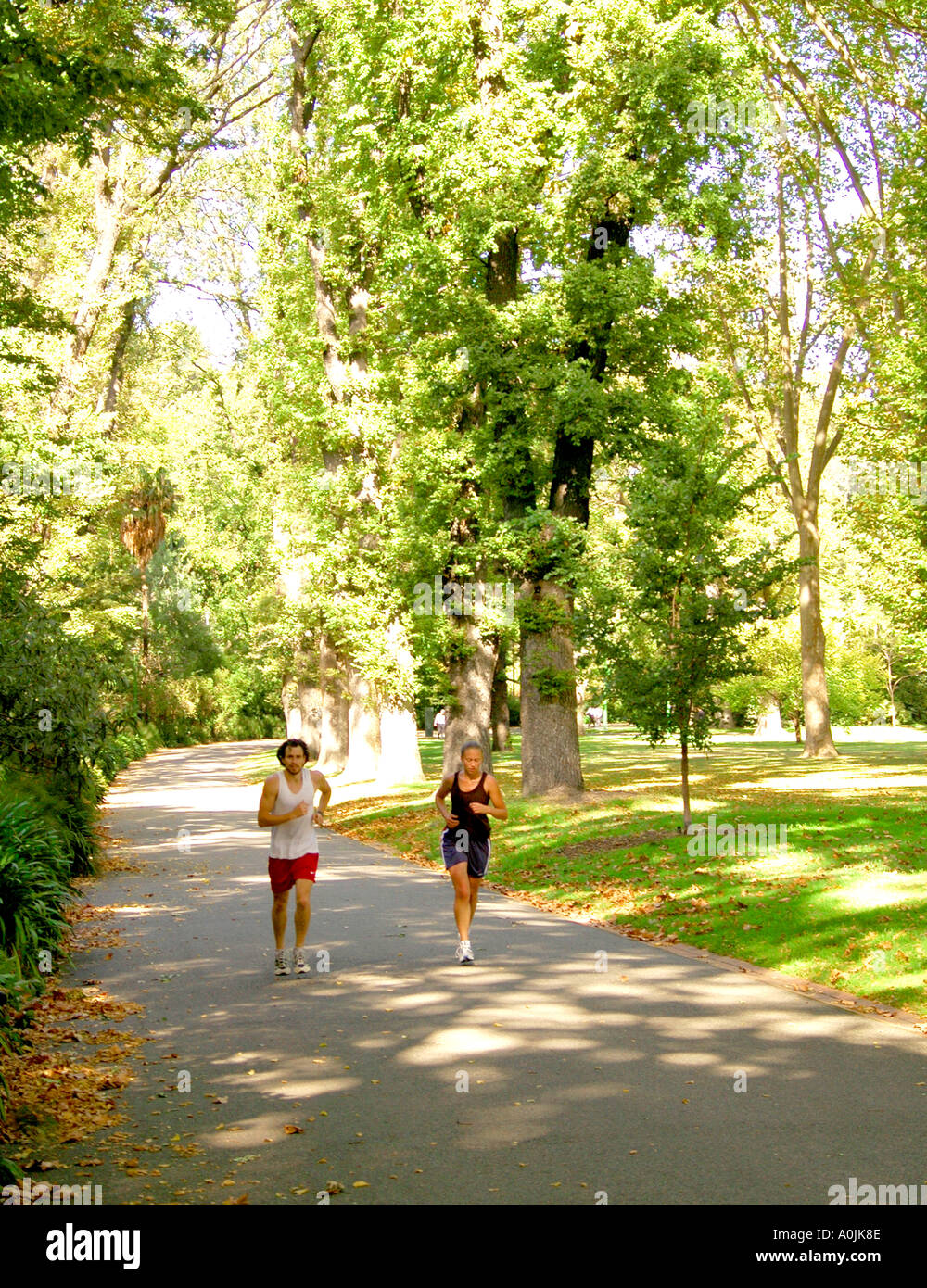 Two people running in a park, Melbourne, Australia Stock Photo - Alamy
