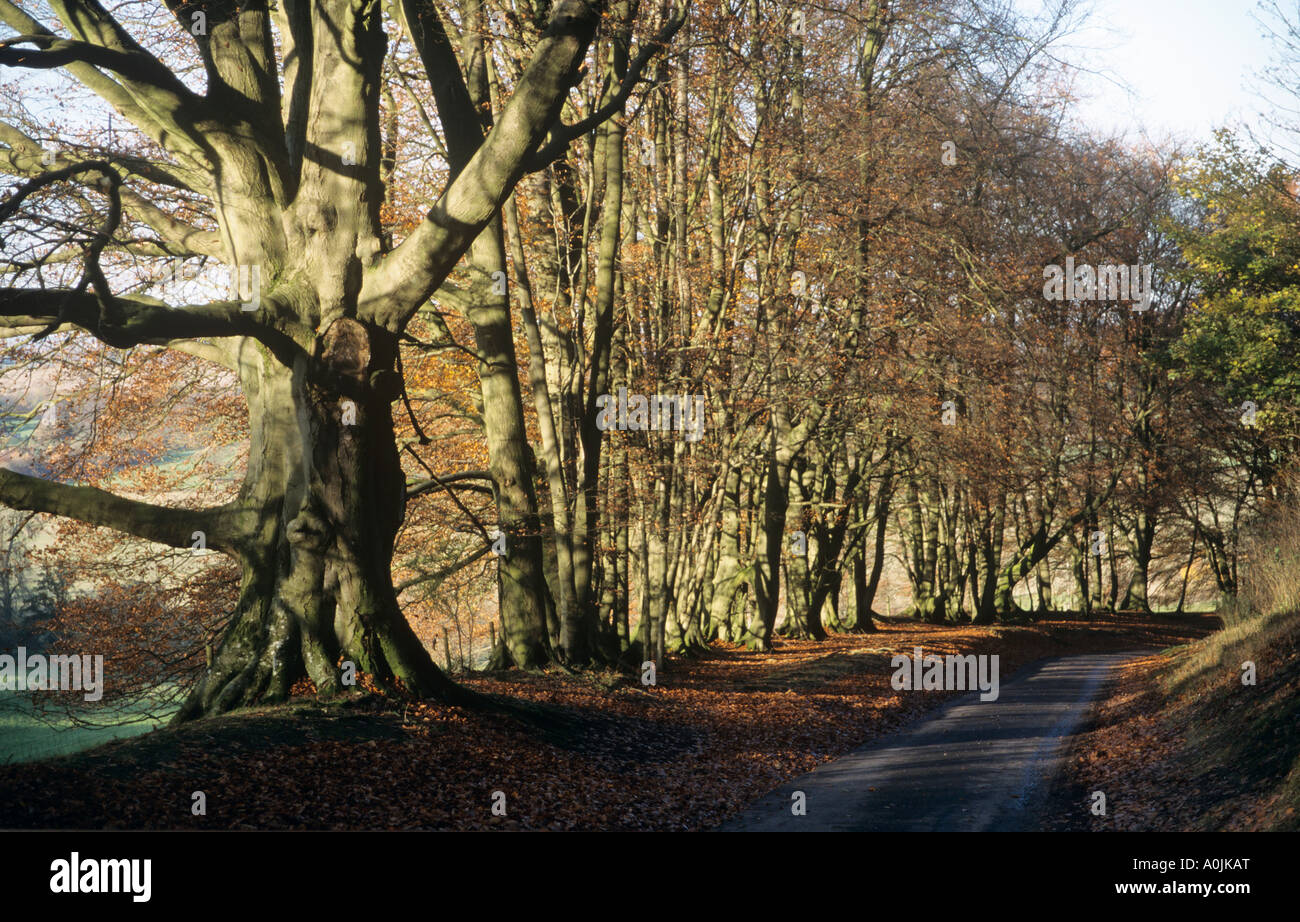 Sydmonton hampshire hi-res stock photography and images - Alamy