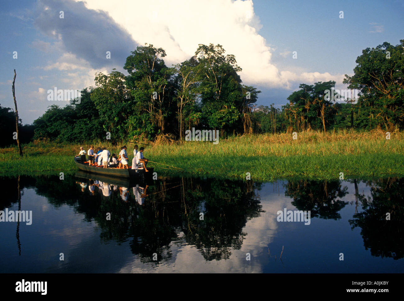 tourists, tour group, piranha fishing, rain forest, canal, Rio Ariau ...