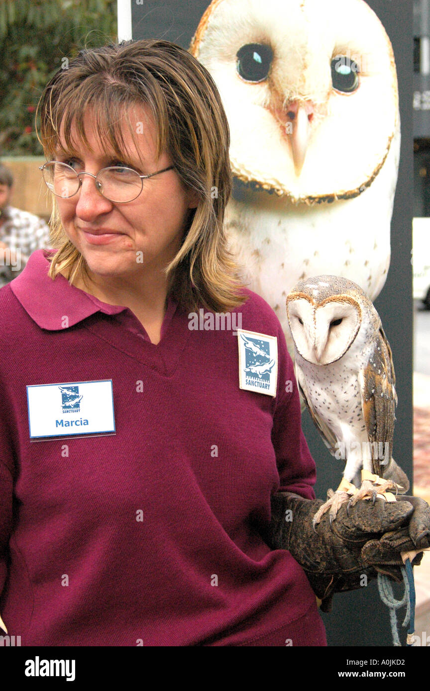 A Barn Owl held by a bird handler, Melbourne, Australia Stock Photo - Alamy