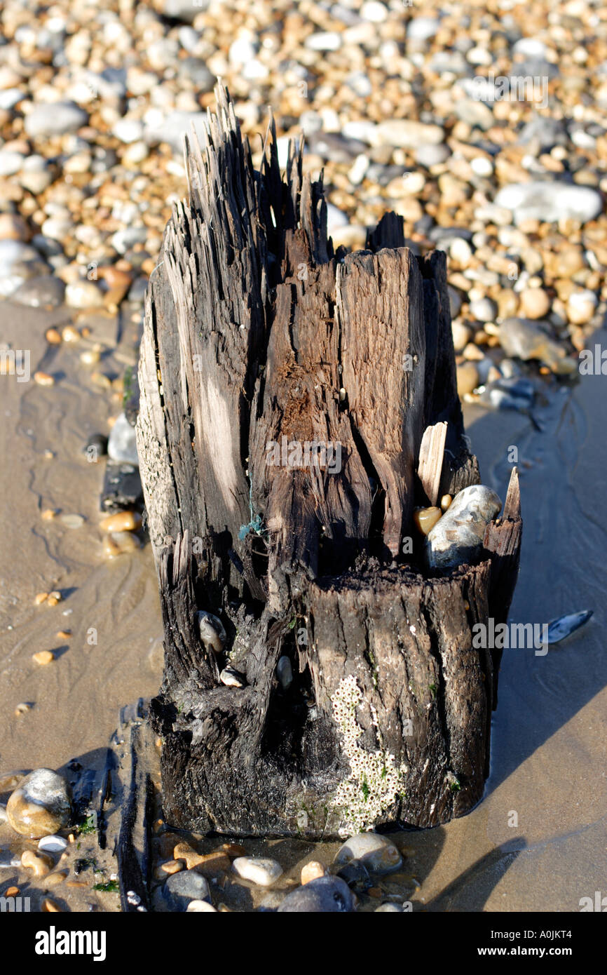Wooded bollard and beach pebbles Stock Photo - Alamy