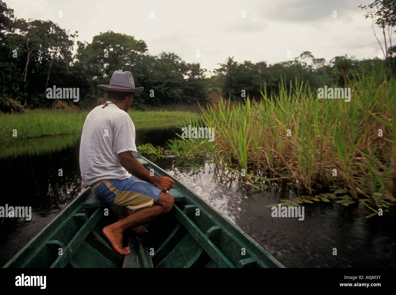 1 one Brazilian man riding in boat on Obim Canal an arm of the Ariau ...