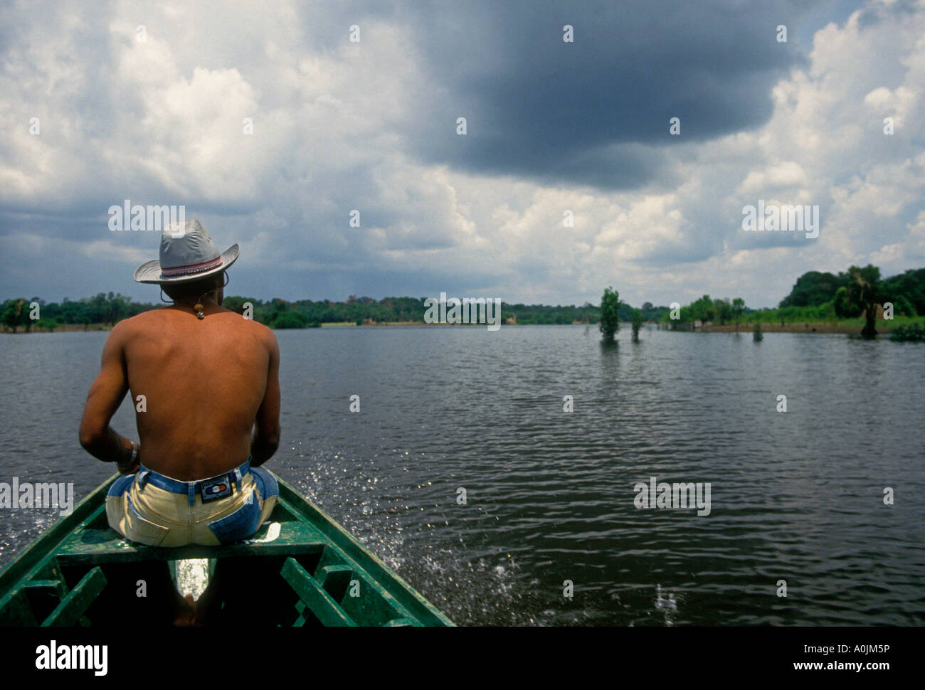 1 one Brazilian man riding in boat on Obim Lake near Ariau River, Rio ...