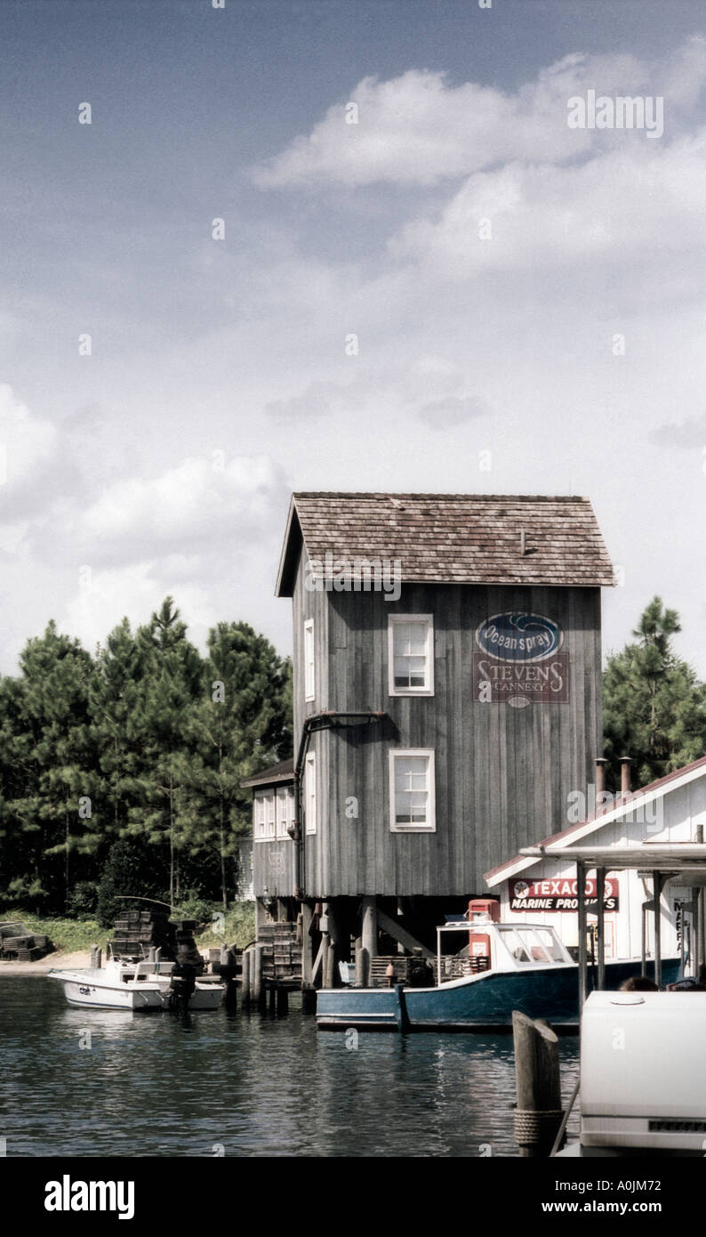 Jaws Ride Disney World Florida Stock Photo - Alamy