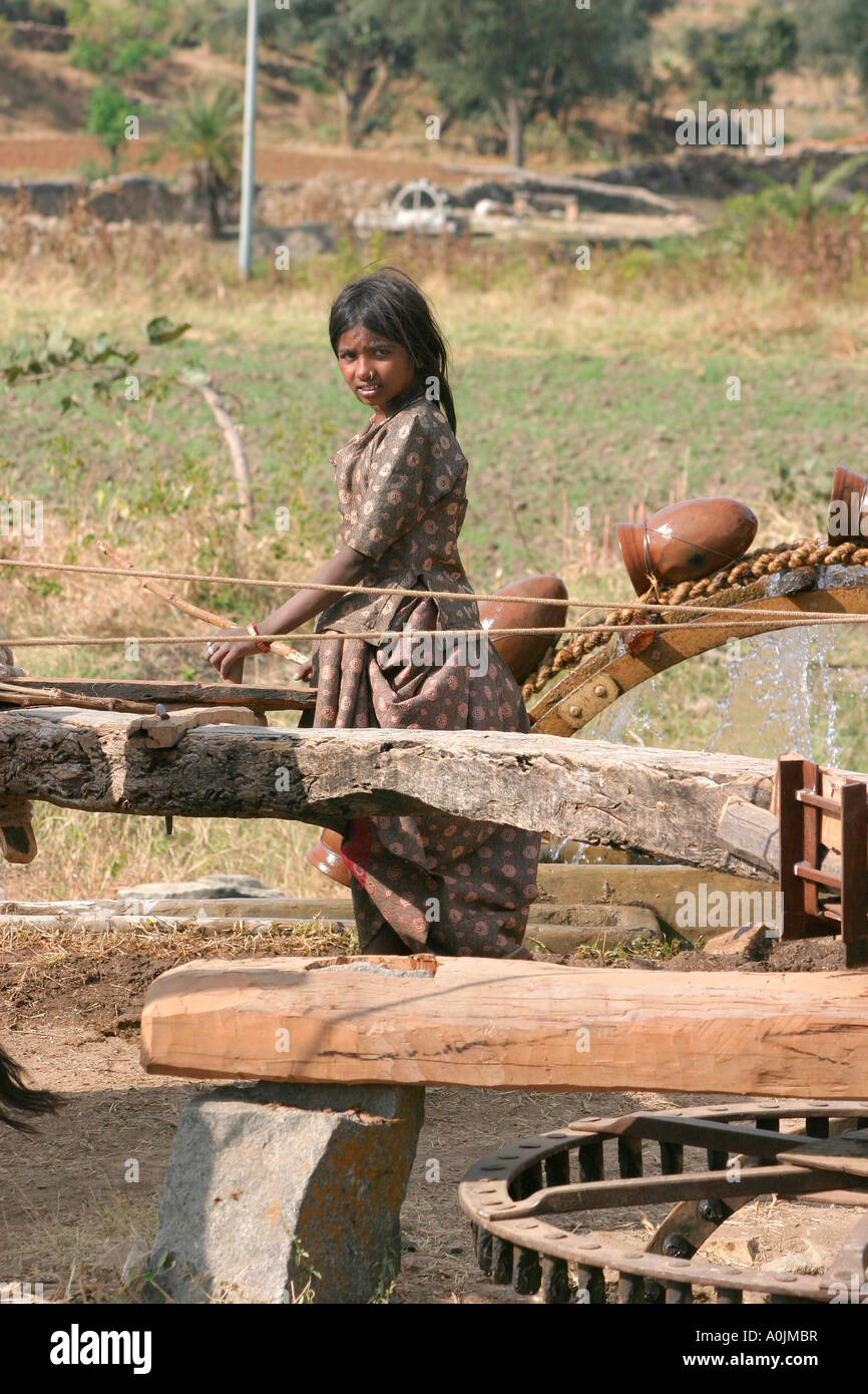 Persian water wheel rajasthan india hi-res stock photography and images ...