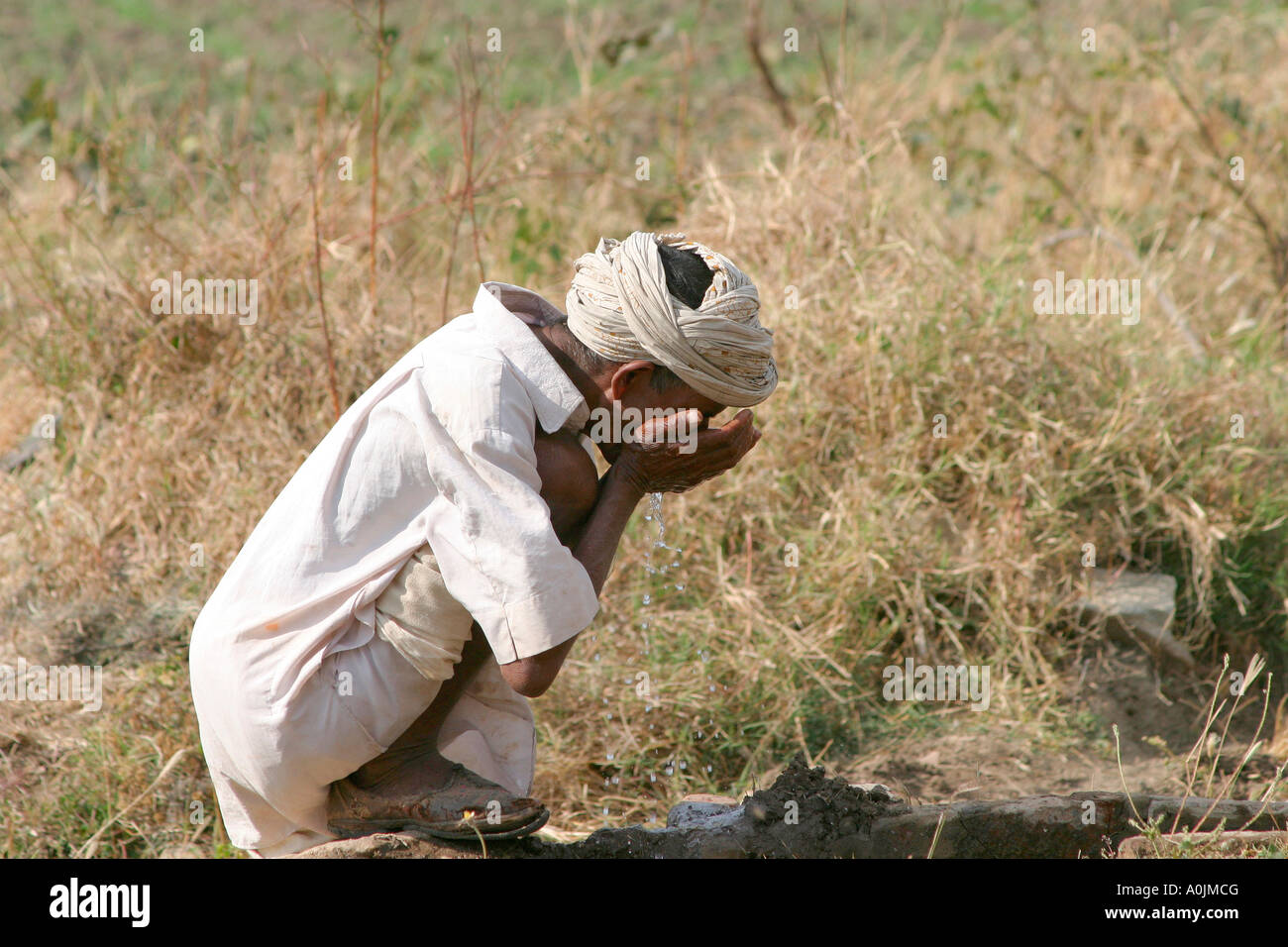 Rajasthani man drinking at an irrigation channel between Ranakpur and ...