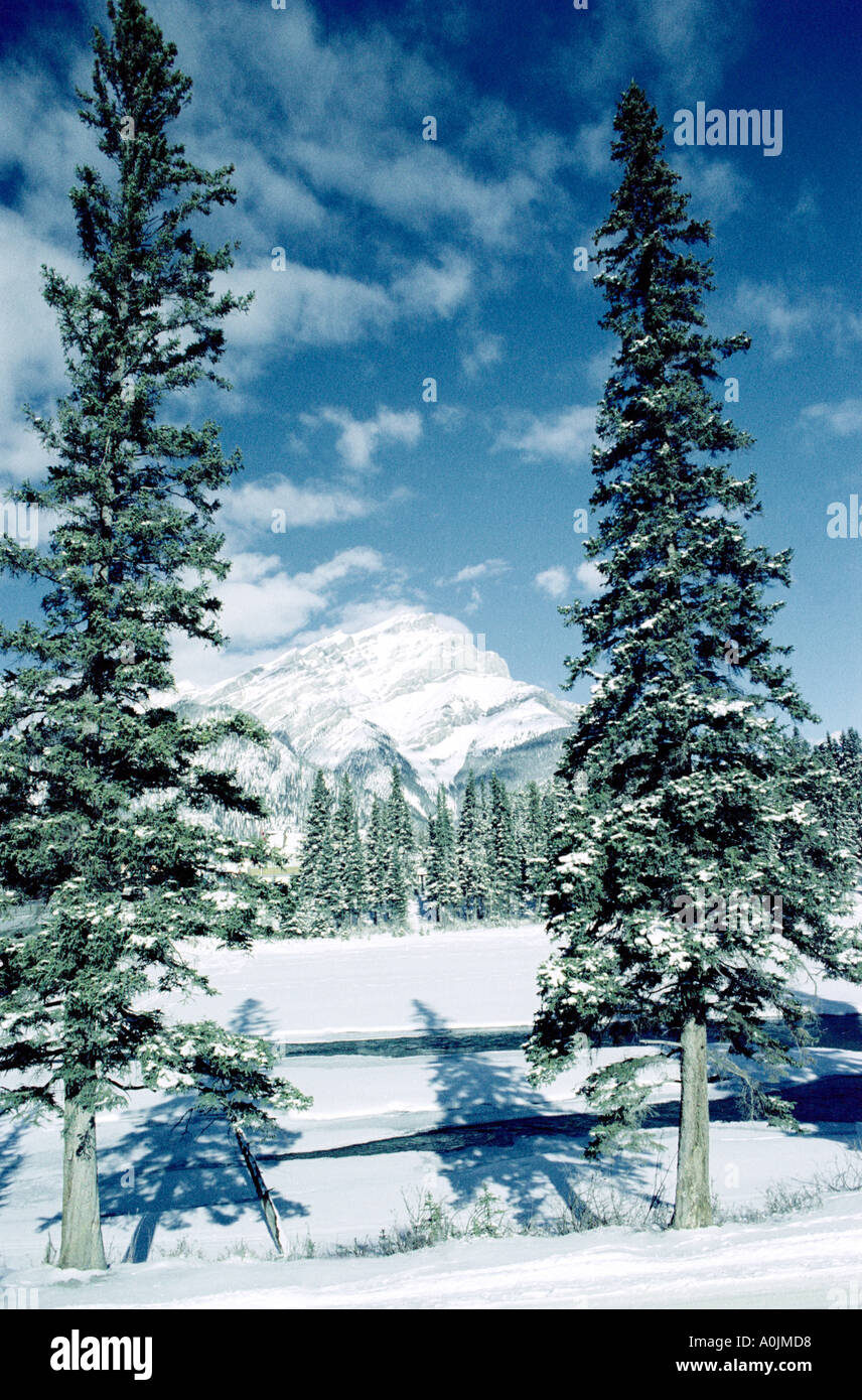 winter scene Banff Spring Canada Stock Photo - Alamy