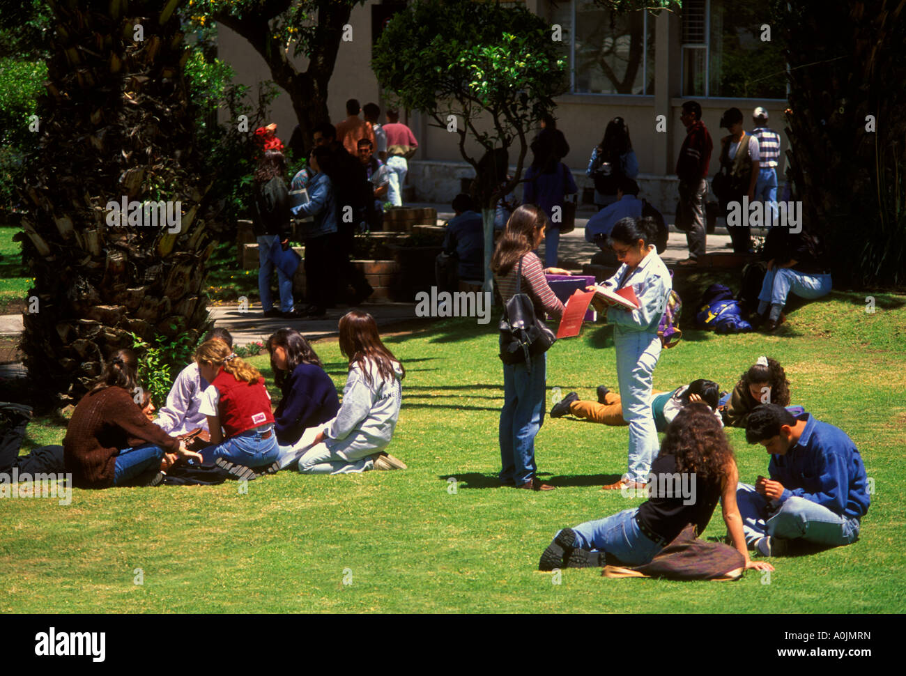 university students, college students, students, on campus, campus ...