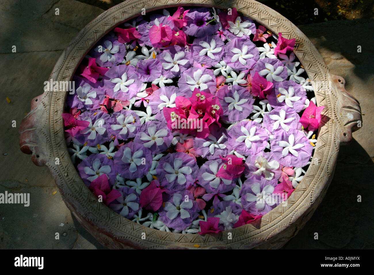 Arrangement of flowers floating on water at the Manvar Desert Resort ...