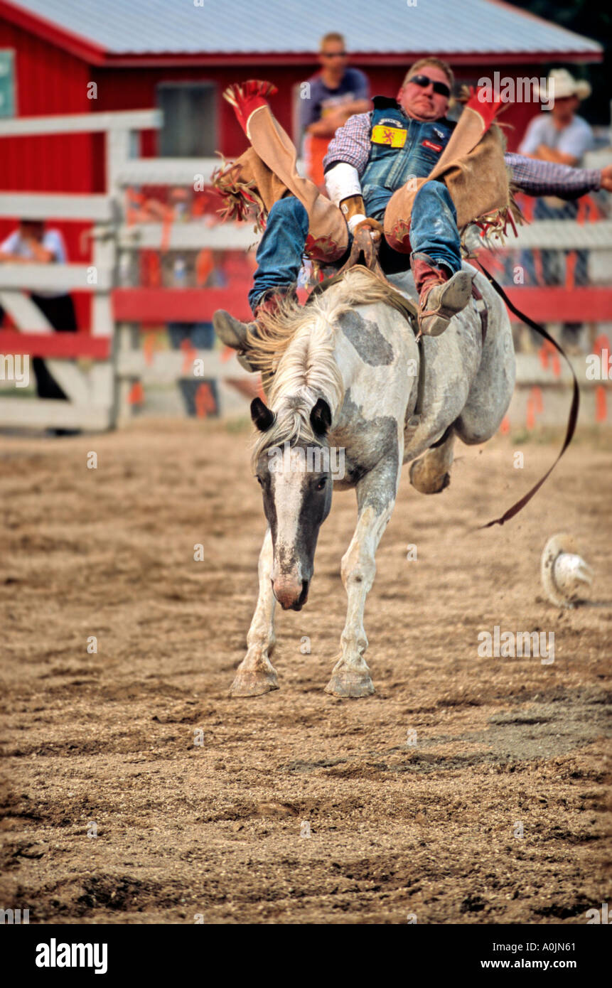 Bucking bronco canada hi-res stock photography and images - Alamy