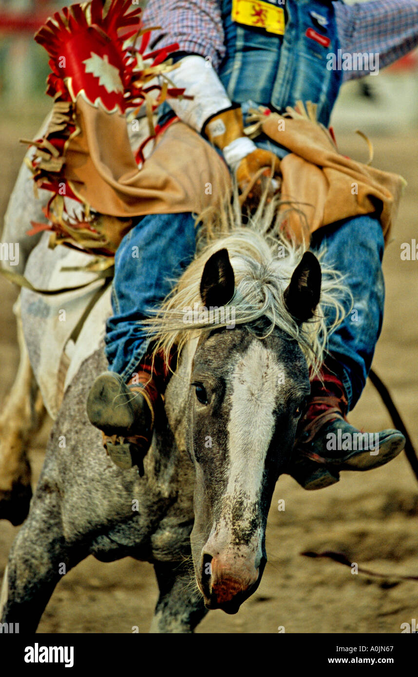 Cowboy On Bucking Horse High Resolution Stock Photography and Images ...