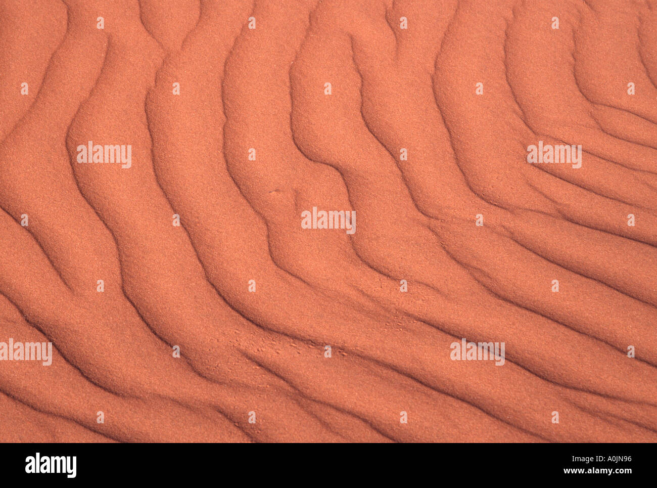 Wind created ripple patterns on desert sand Namibia Rand Nature Reserve ...